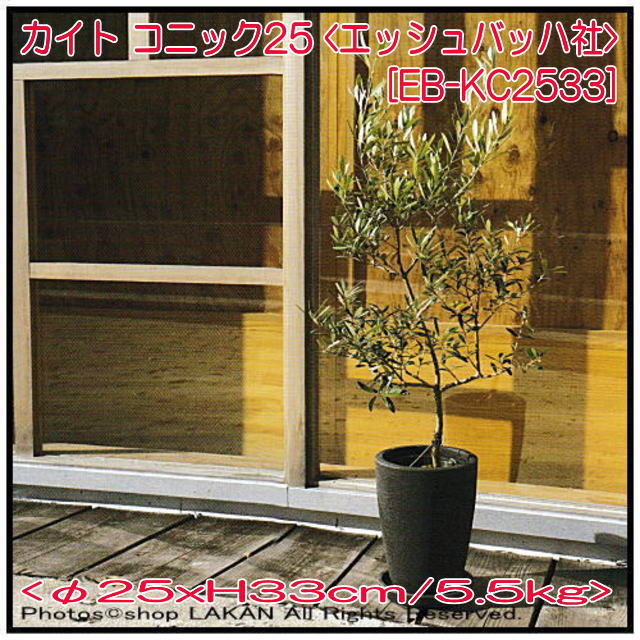 カイトコニック鉢 φ25cm テラコッタ鉢 EB-KC2533 - shopラカン - シンプル プレーンなデザイン、質感のある人気テラコッタ ...